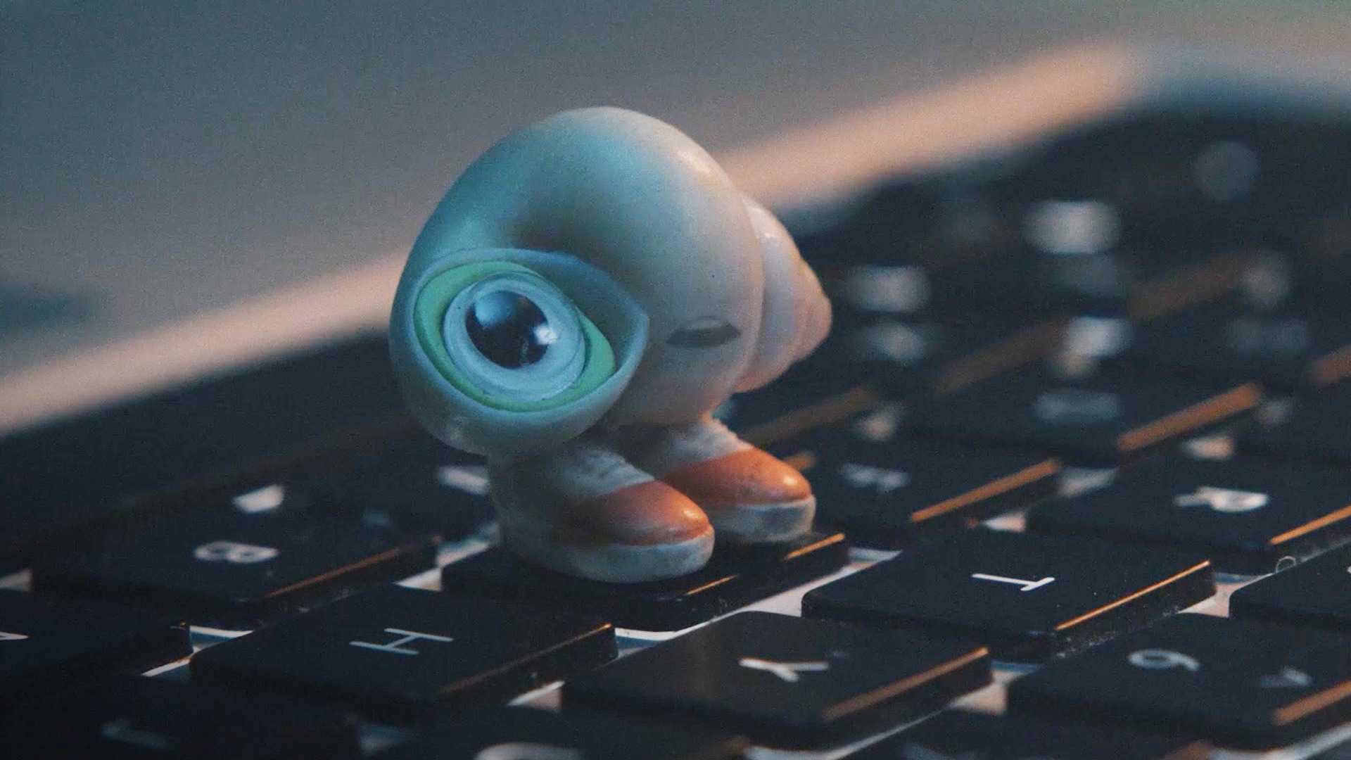 Marcel the Shell with Shoes On - Rotten Tomatoes