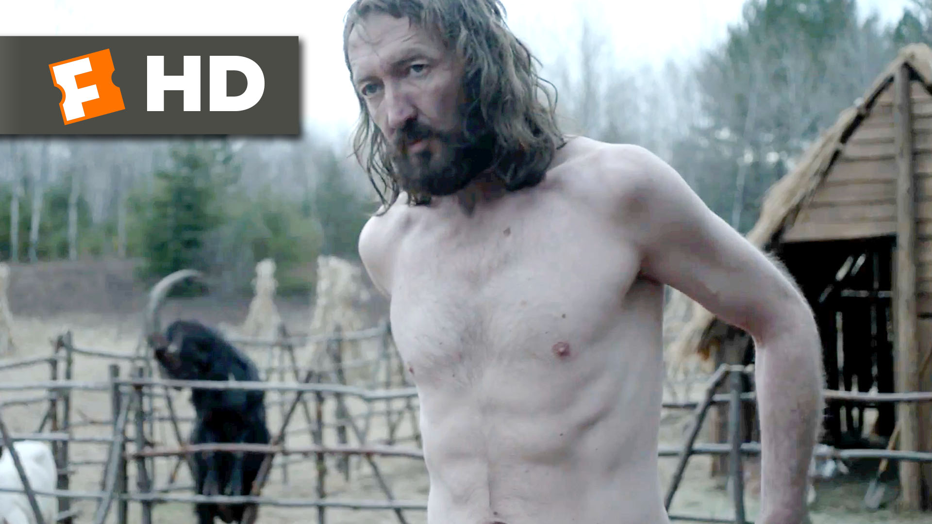 The Witch - Rotten Tomatoes