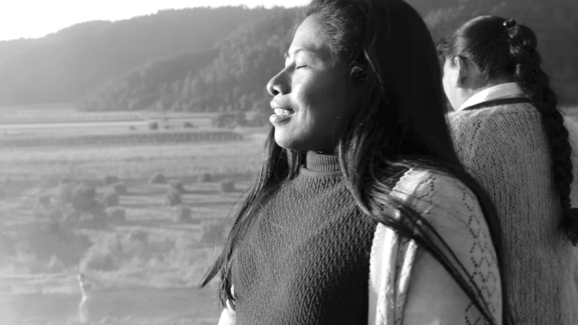 Roma - Rotten Tomatoes