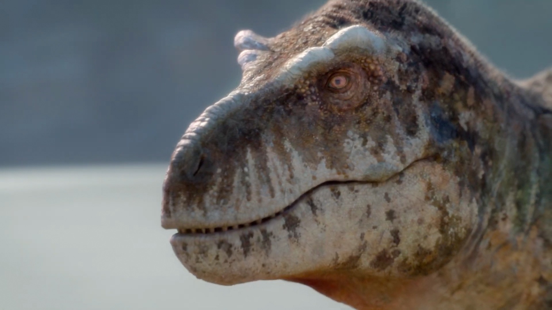 Prehistoric Planet Tv Show 60 Photos - Moonagedaydream.film