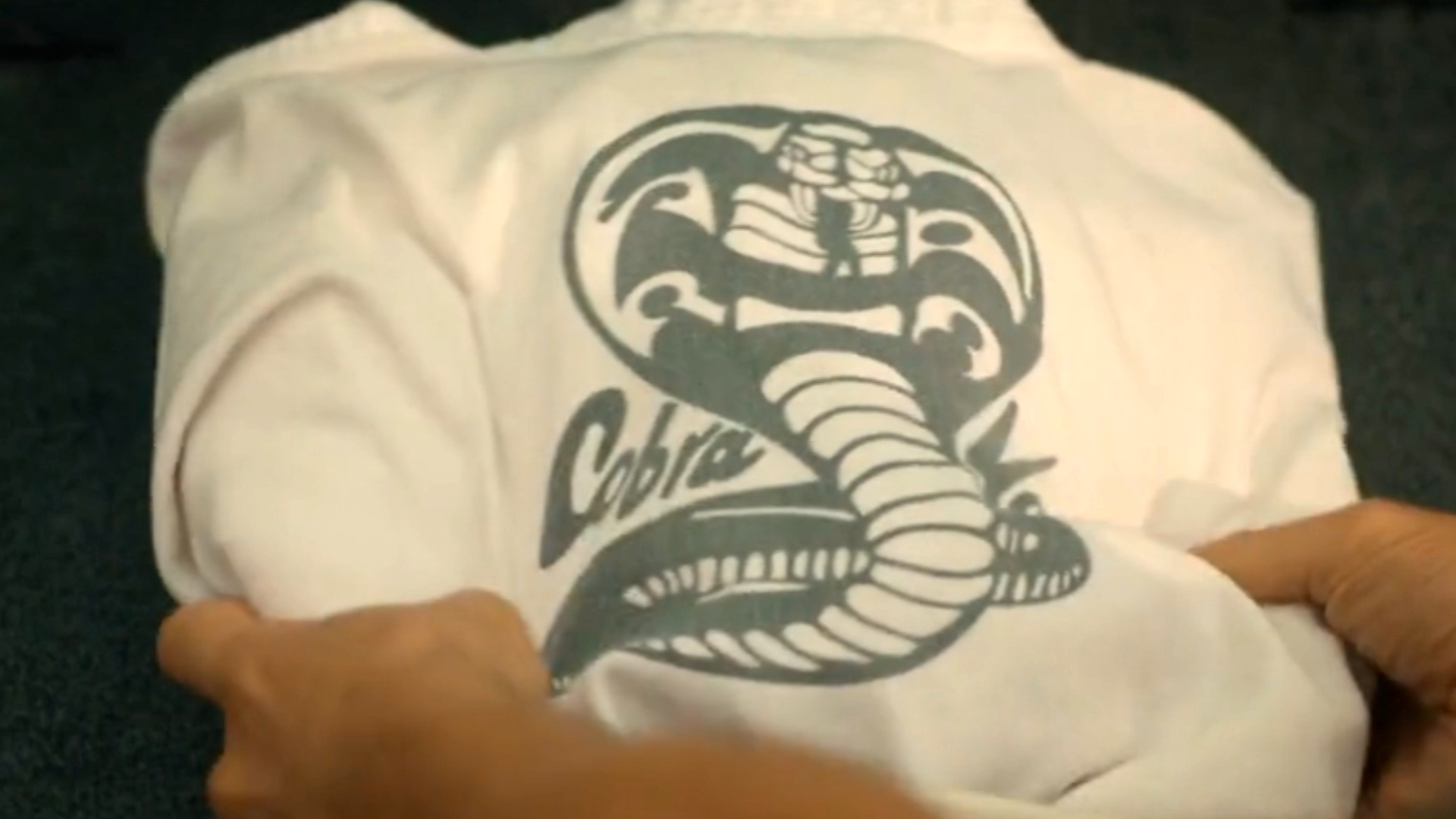 Cobra Kai: Miguel's New Gi Scene - Trailers & Videos - Rotten Tomatoes