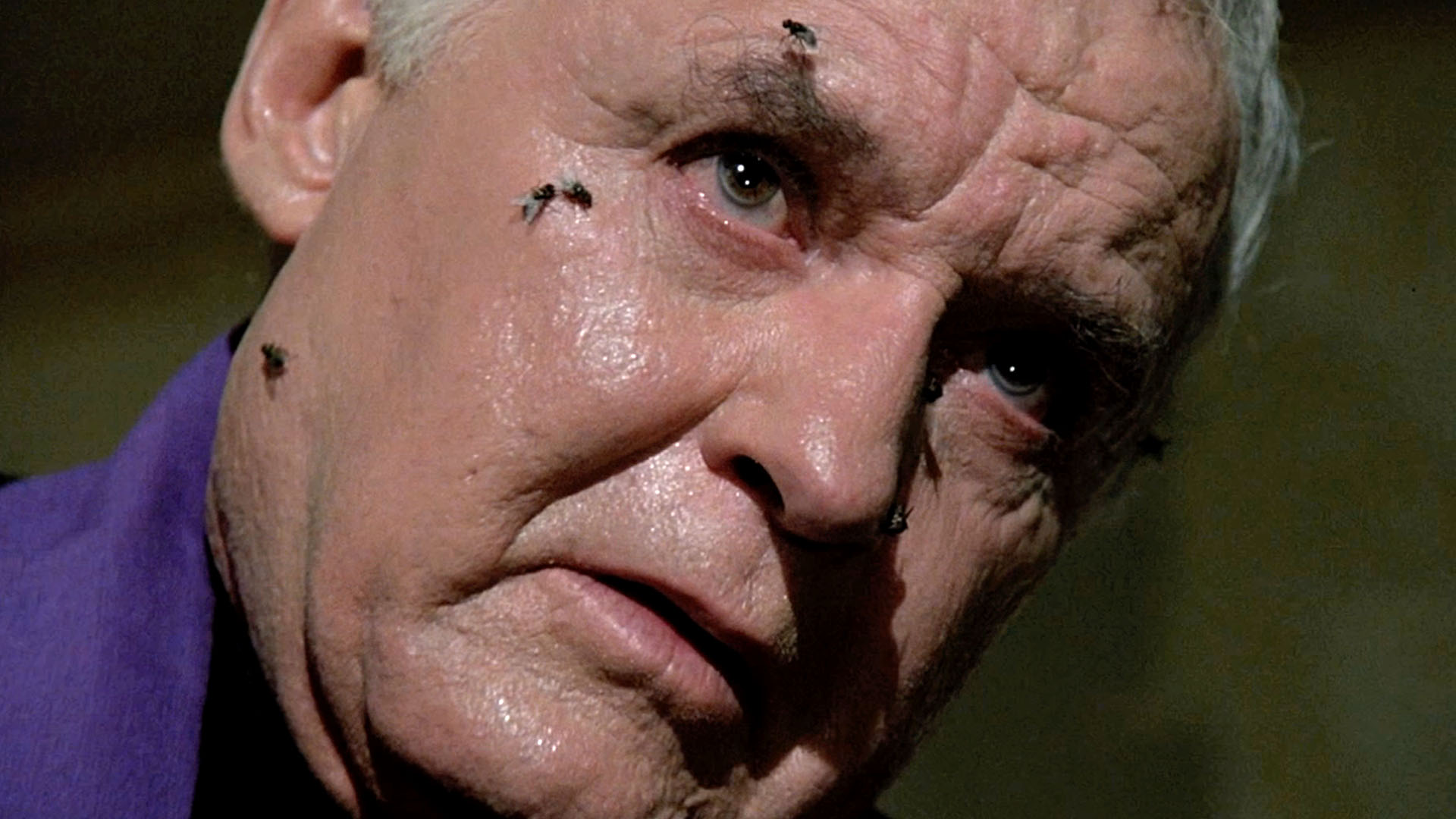 The Amityville Horror - Rotten Tomatoes