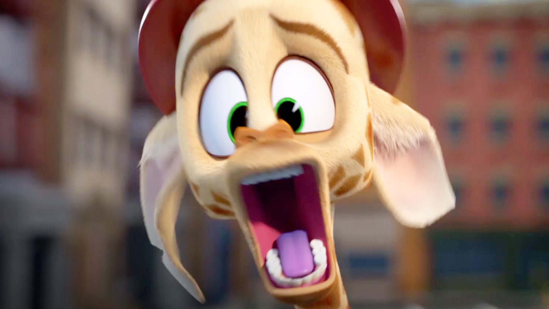Madagascar: A Little Wild: Season 2 Trailer - Rotten Tomatoes