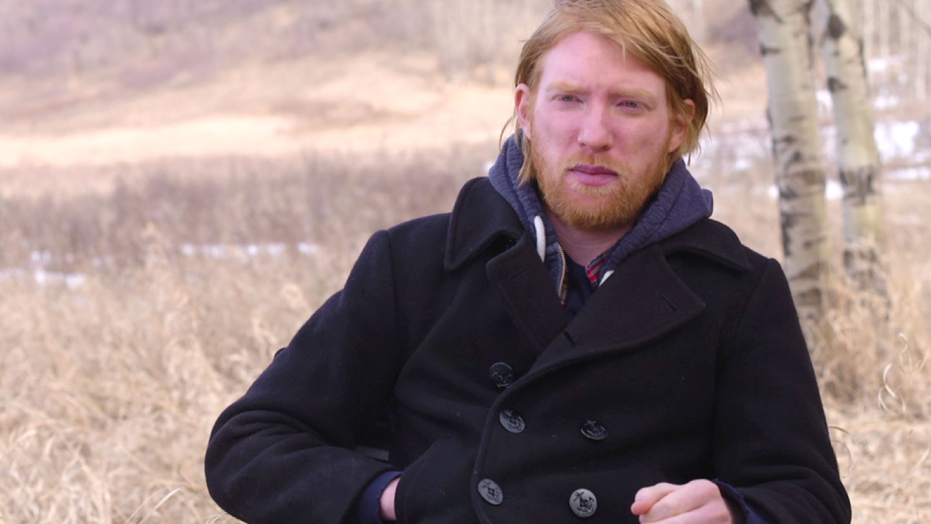 The Revenant (2015) | Fandango