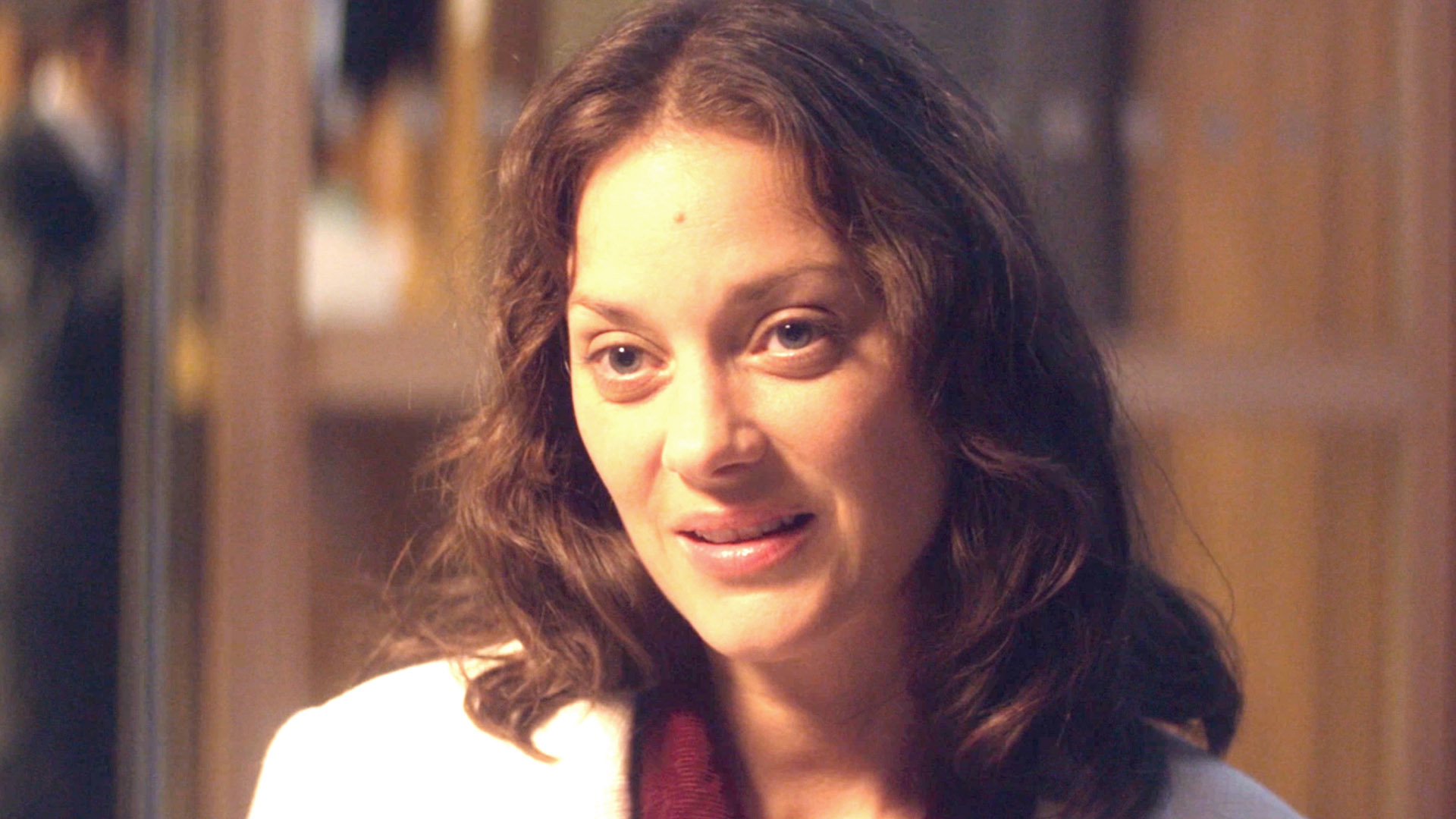 Matt Cipolla's Instagram, Twitter & Facebook on IDCrawl