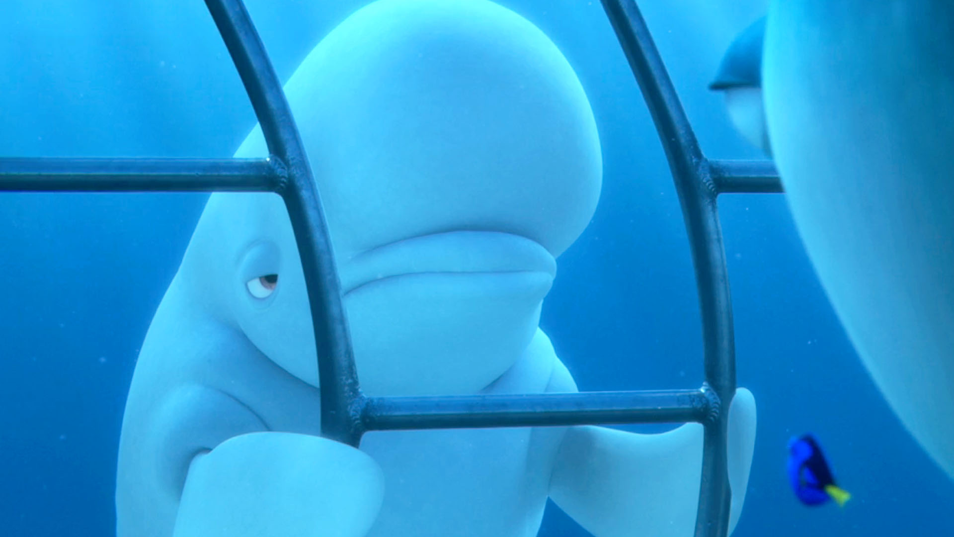 Finding Dory: Finding Dory Trailer 2 - Fandango Finding Dory: Finding Dory Trailer 2 - Fandango