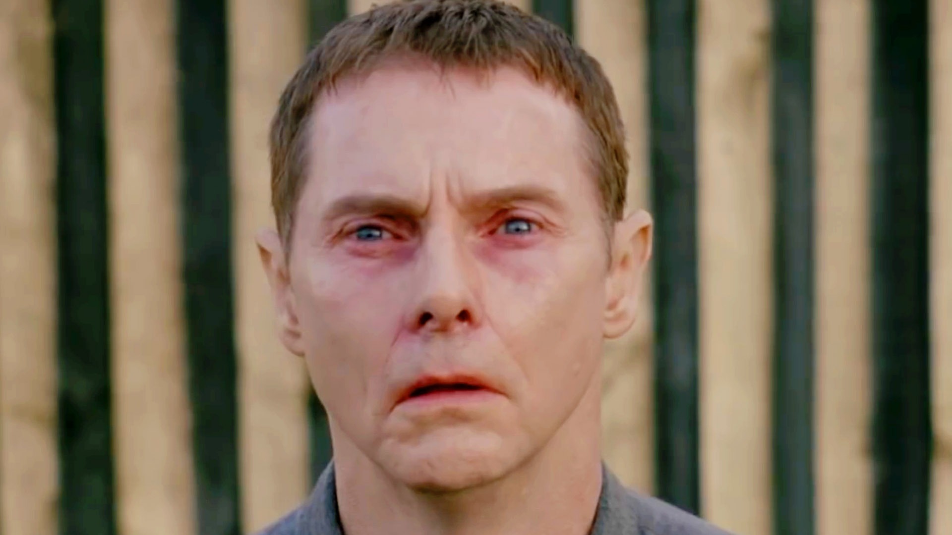 Possum - Rotten Tomatoes