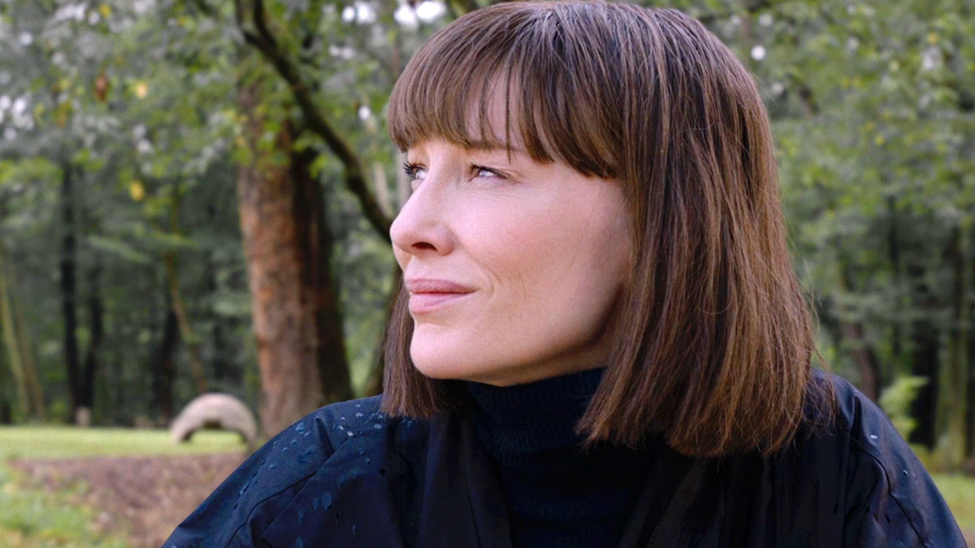 Bernadette May's Instagram, Twitter & Facebook on IDCrawl