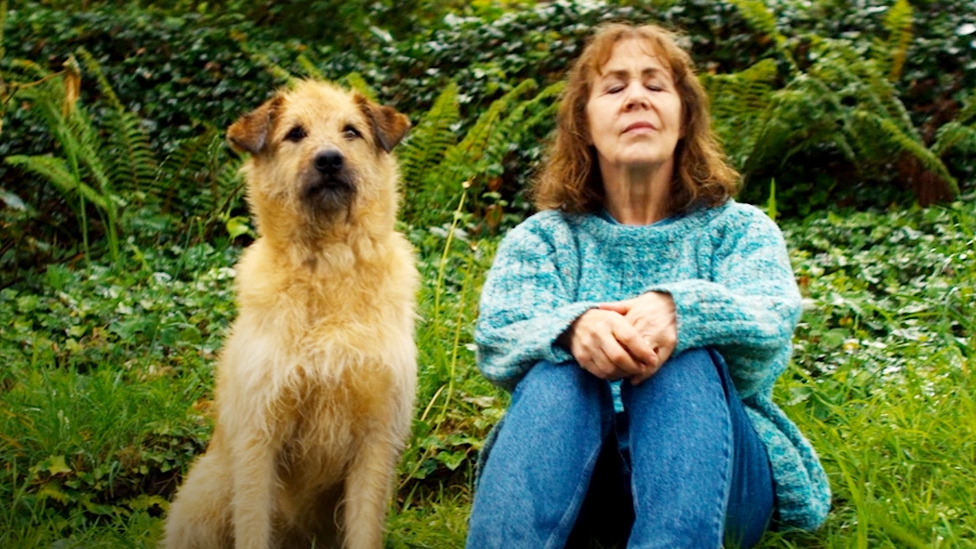 Róise & Frank: Trailer 1 - Trailers & Videos - Rotten Tomatoes